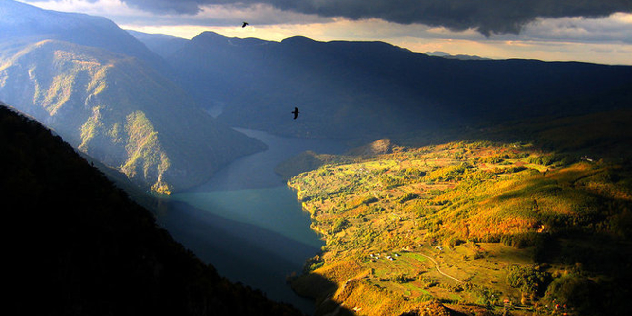 Alex Perry Home - Alex Perry